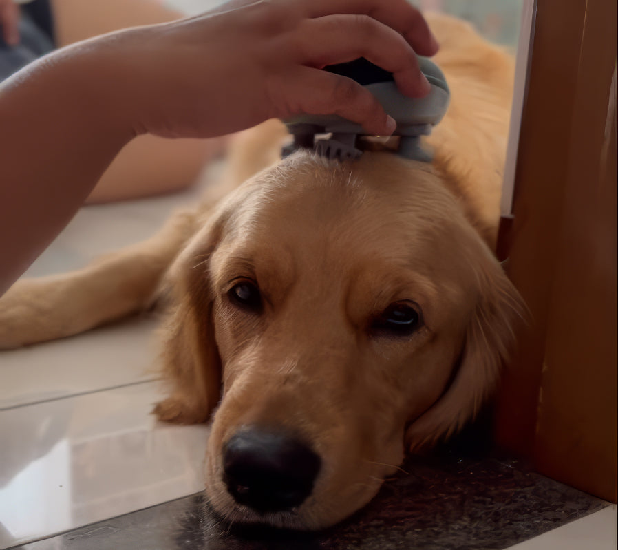 Buy Revive Rechargeable Electric Head Massager | Caresmith